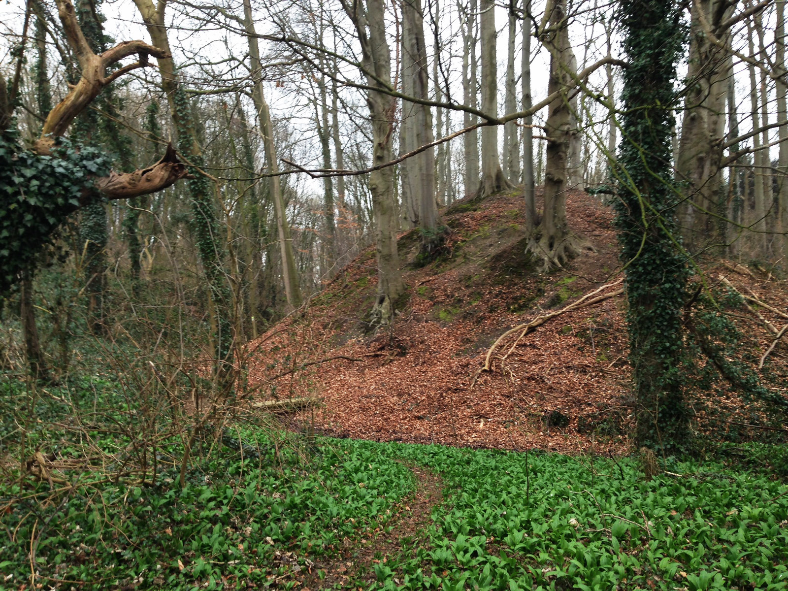 Thaborberg | Visit Dilbeek