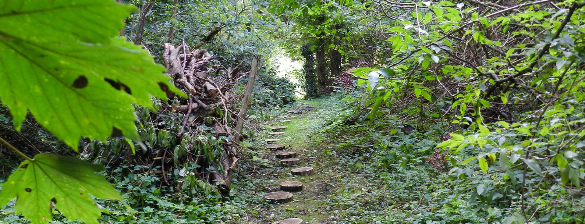 Thaborberg | Visit Dilbeek