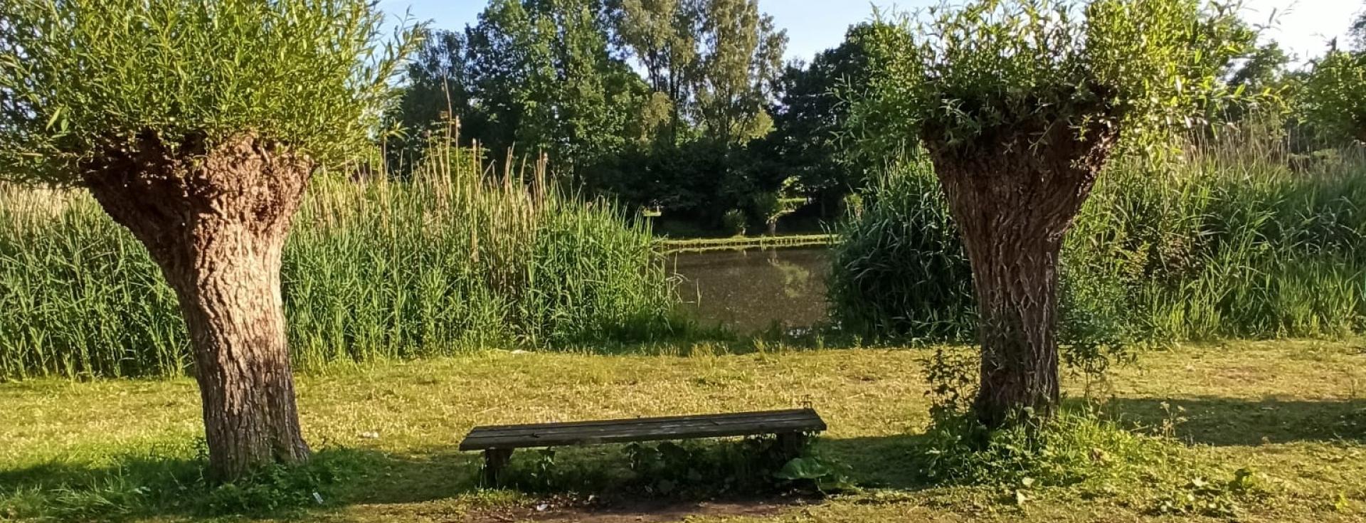 Renbaanpark | Visit Dilbeek