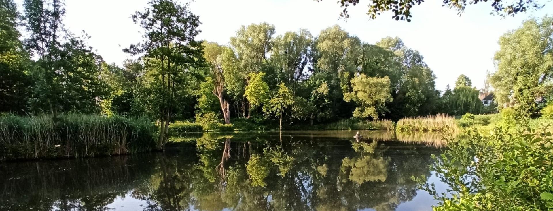 Renbaanpark | Visit Dilbeek